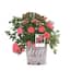 Drift 3 Gal. Red Drift Rose Bush with Red Flowers (2-Pack) THD00085 ...