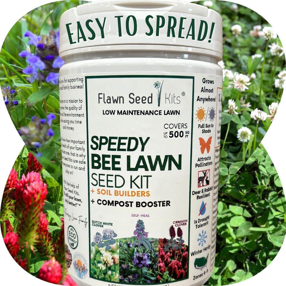 Flawn Seed Kits Speedy Bee Flower Lawn Seed, Easy Spread Shaker, Low ...