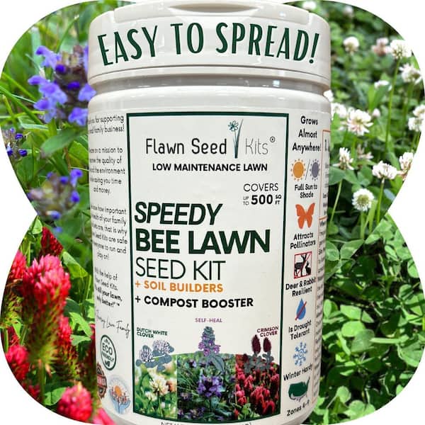 Flawn Seed Kits Micro Clover Seed 1 Lb, Organic Coated, Eco-Friendly ...