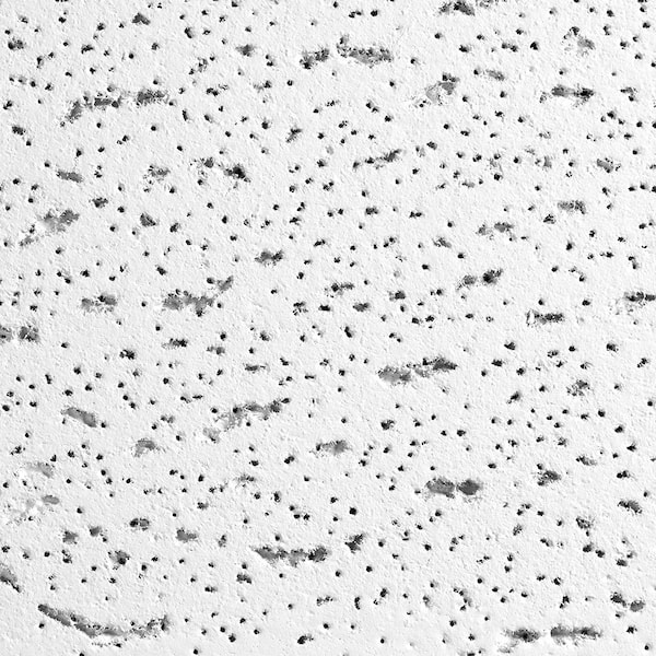 Armstrong CEILINGS Fissured 2 ft. x 4 ft. Square Lay-In Ceiling Tile ...
