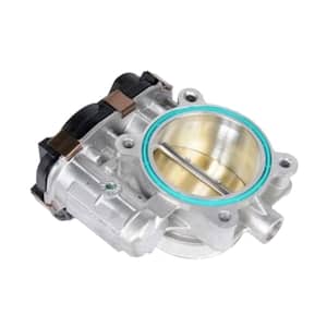 ACDelco Fuel Injection Throttle Body Assembly 217-2294 - The Home Depot