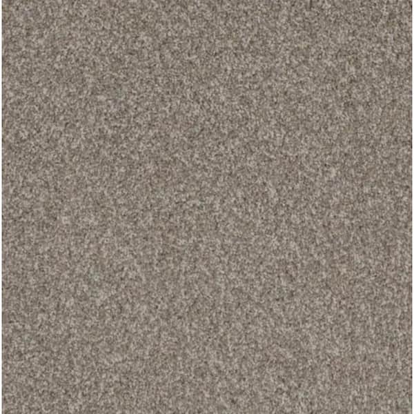 Home Decorators Collection 8 in. x 8 in. Texture Carpet Sample ...