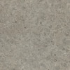 FORMICA 5 ft. x 12 ft. Laminate Sheet in Silver Shalestone with Matte ...
