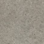 FORMICA 4 ft. x 8 ft. Laminate Sheet in Silver Shalestone with ...