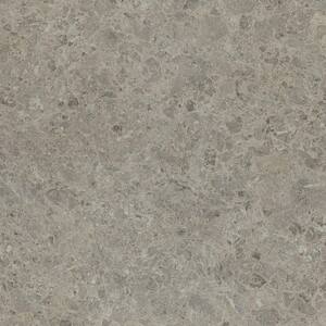 FORMICA 3 in. x 5 in. Laminate Sheet Sample in Midnight Stone with ...