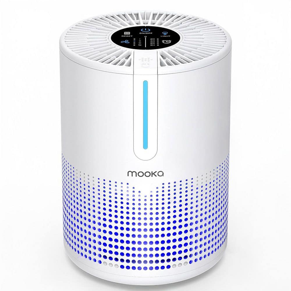 Edendirect 300 sq. ft. H13 True HEPA Personal Room Air Purifier in ...