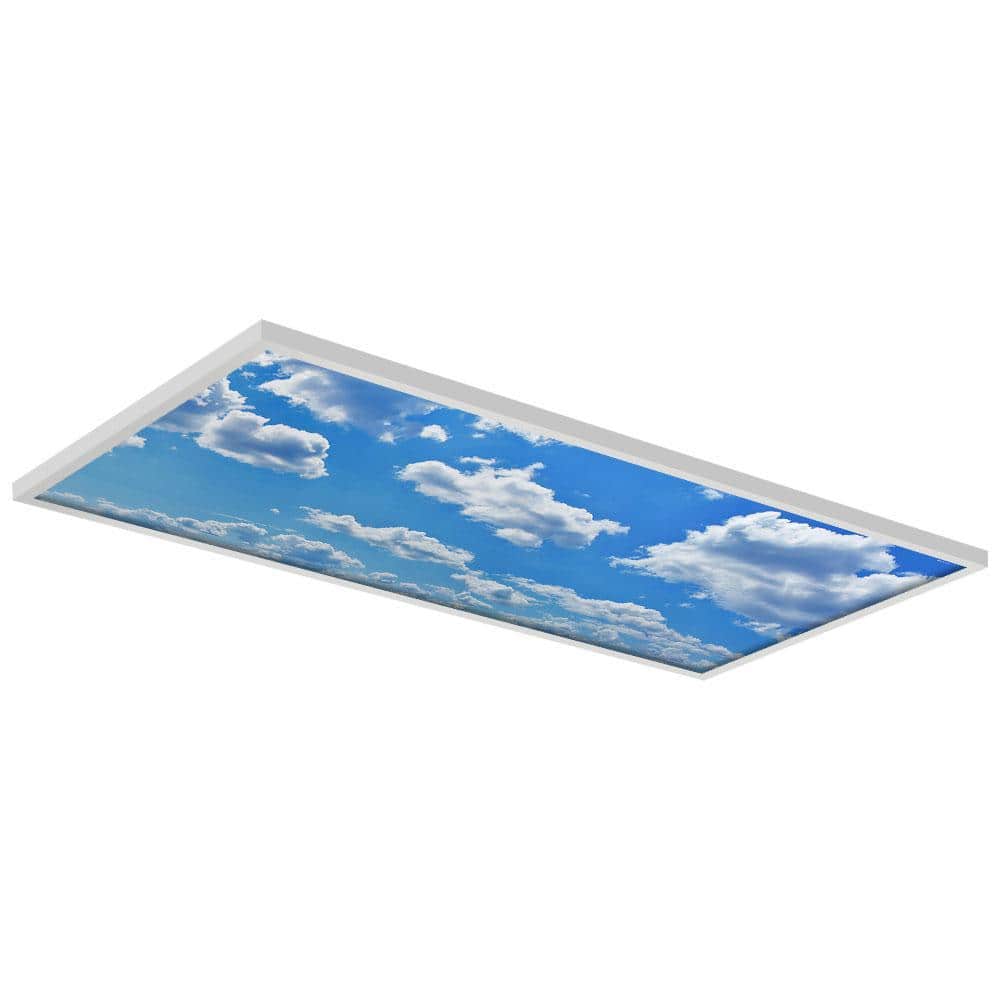 OCTO LIGHTS 001 2 ft. x 4 ft. Fluorescent Light Filters CLD-001-2x4 ...