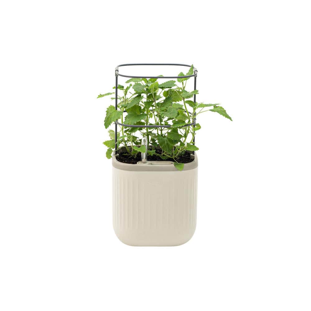 vego garden Mini Planter Box Recyclable Plastic with Trellis Self ...