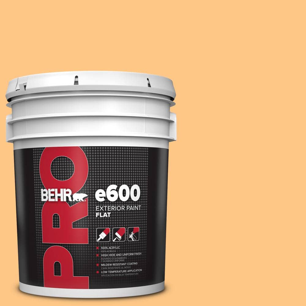 BEHR PRO 5 gal. #P240-4 Mango Tango Exterior Flat Paint PR61005 - The ...