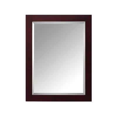 Avanity Modero 28 in. W x 36 in. H x 6-1/4 in. D Framed Surface-Mount 2 ...