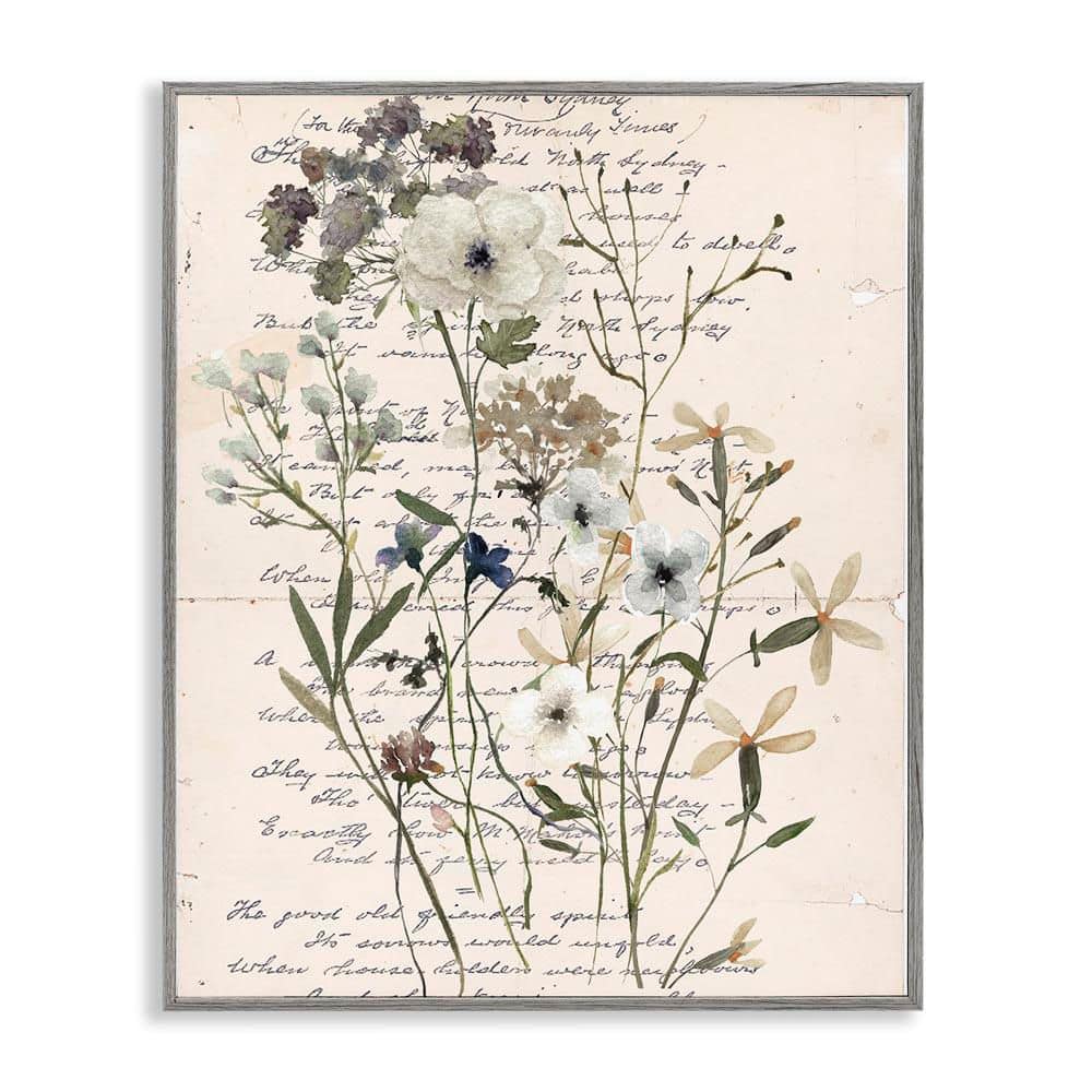 Stupell Industries Vintage Pressed Flowers by Carol Robinson Gray ...