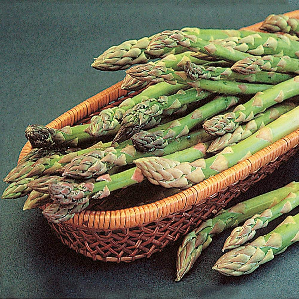 DIRECT GARDENING 1 Gal. Pot Improved Mary Washington Asparagus Potted ...