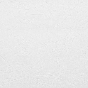 Brewster Barlow Paintable Plaster Texture Paper Strippable Roll (Covers ...