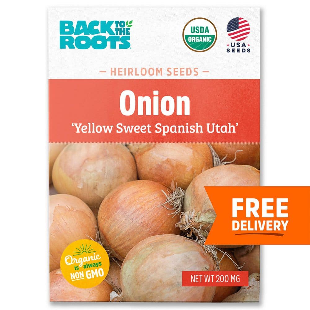 Back to the Roots Organic Yellow Sweet Spanish Utah Onion Seed (1-Pack ...