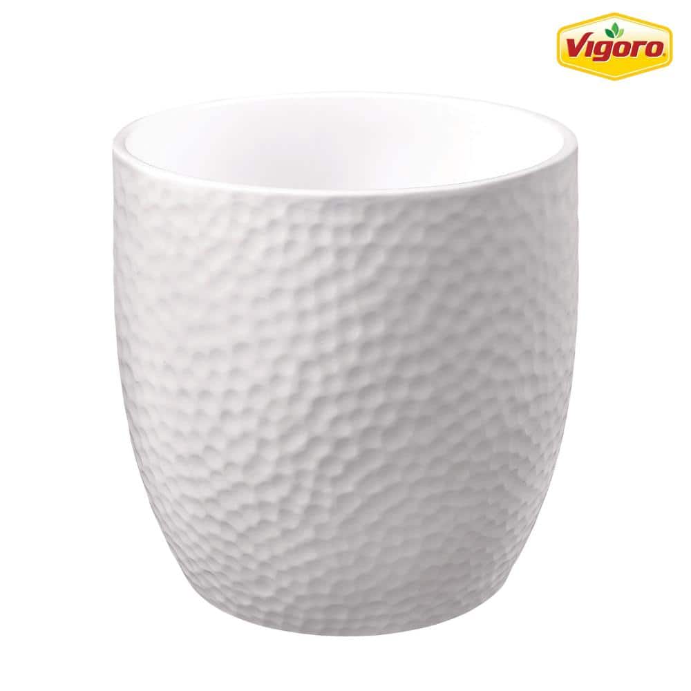 Vigoro Ellory 6.3 in. x 6.3 in. D x 5.9 in. H Small Matte White Ceramic ...