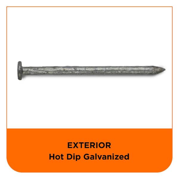 Galvanized Nail
