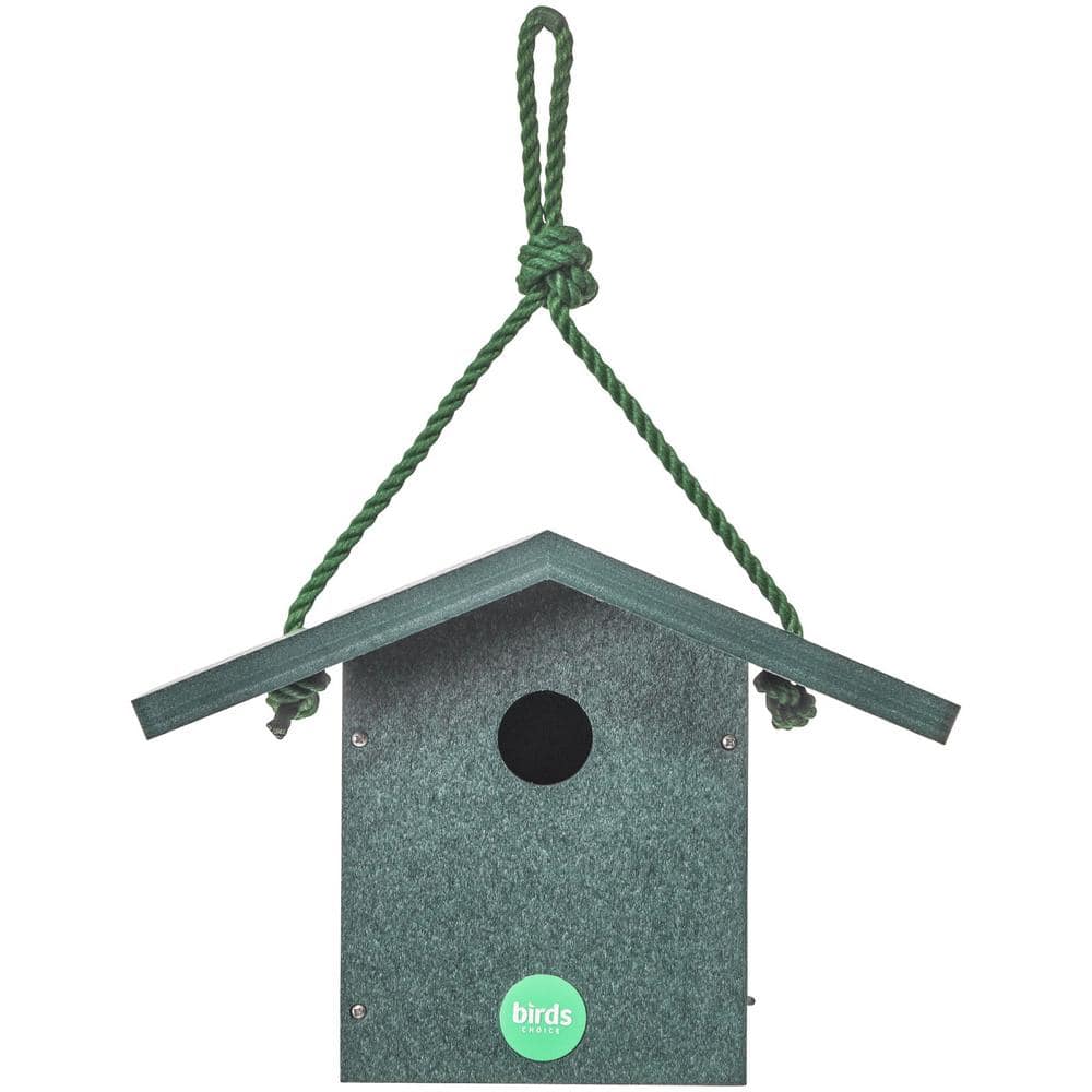 BIRDS choice Wren House Color Pop Collection in Evergreen Recycled ...