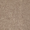TrafficMaster 8 in. x 8 in. Texture Carpet Sample - Palmdale II - Color ...