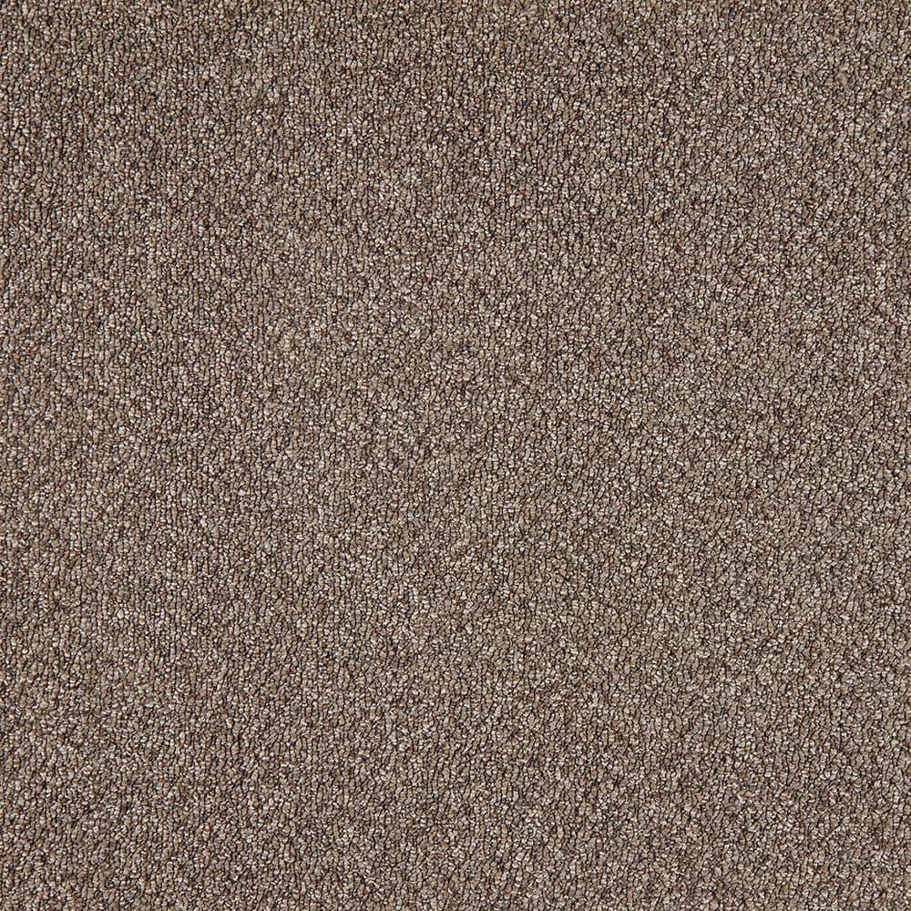 Reviews for TrafficMaster Moss Peak - Clock Tower - Brown 15 ft. 31 oz ...