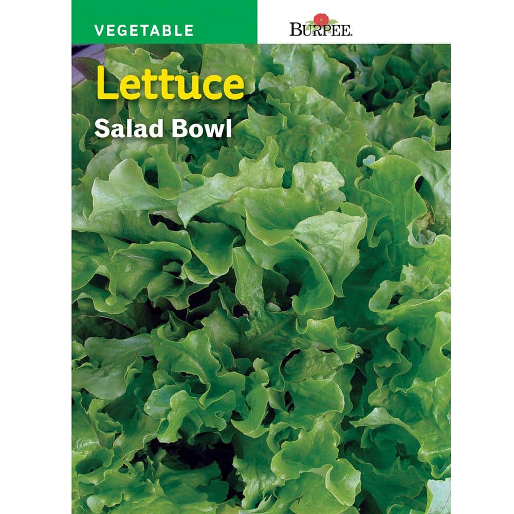 Burpee Lettuce Leaf Salad Bowl Seed 60427 - The Home Depot