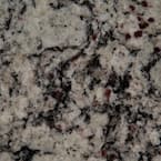 STONEMARK 3 in. x 3 in. Granite Countertop Sample in Mystic Spring P ...