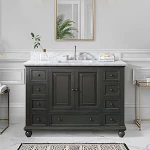 Avanity Thompson 49 in. Single Sink French White Bath Vanity with ...