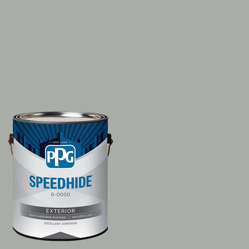 Reviews for SPEEDHIDE 1 gal. PPG1033-4 Light Drizzle Flat Exterior ...