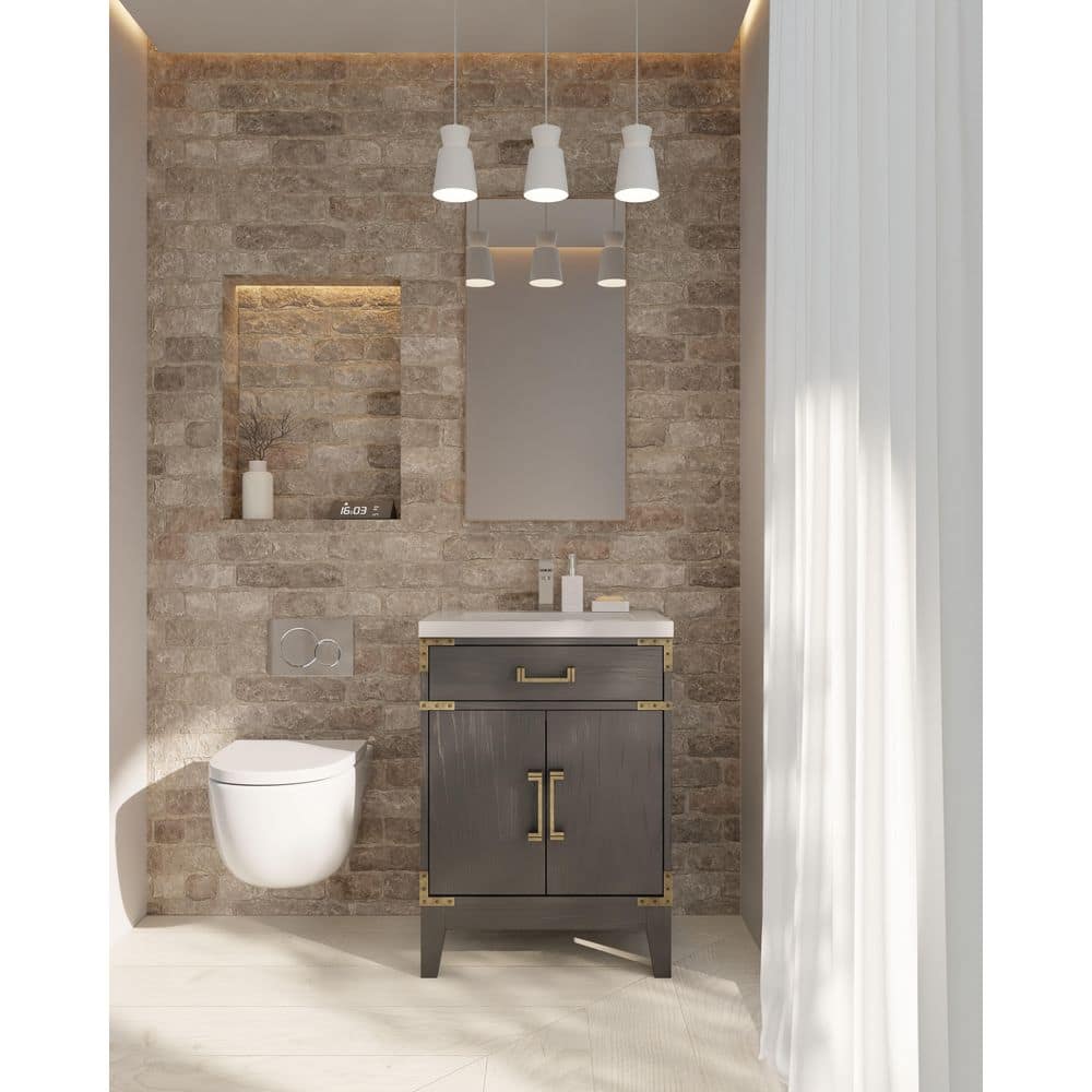 Lexora Fossa 24 in. Single Sink Freestanding Black Oak Bath Vanity and ...