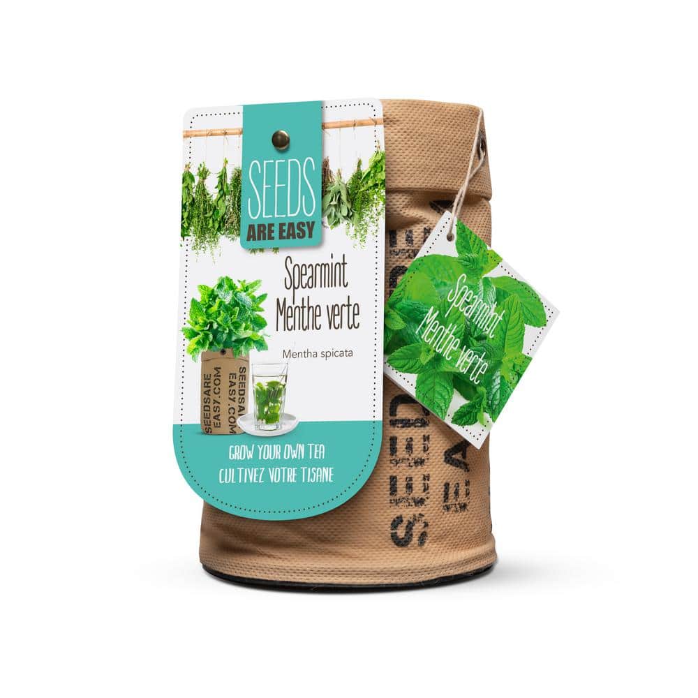 bulbs are easy Mentha Spicata Spearmint Tea Rag Bag Seeds SAE0005 - The ...