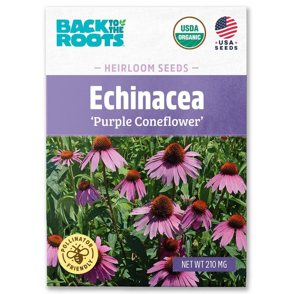 Back to the Roots Organic Purple Coneflower Echinacea Seed 46092F - The ...