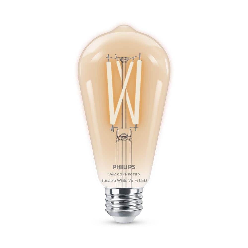 Philips 60-Watt Equivalent ST19 Smart Wi-Fi Vintage Edison LED Light ...