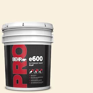 BEHR PRO 5 gal. #340C-1 Powder Sand Low Luster Exterior Paint PR62005 ...
