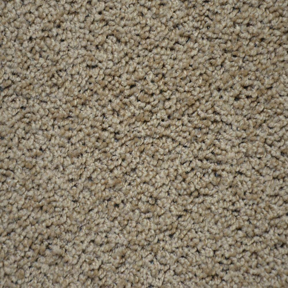 Triumph - Color Cinnamon 12 ft. Carpet H5800-1001-1200-AB - The Home Depot