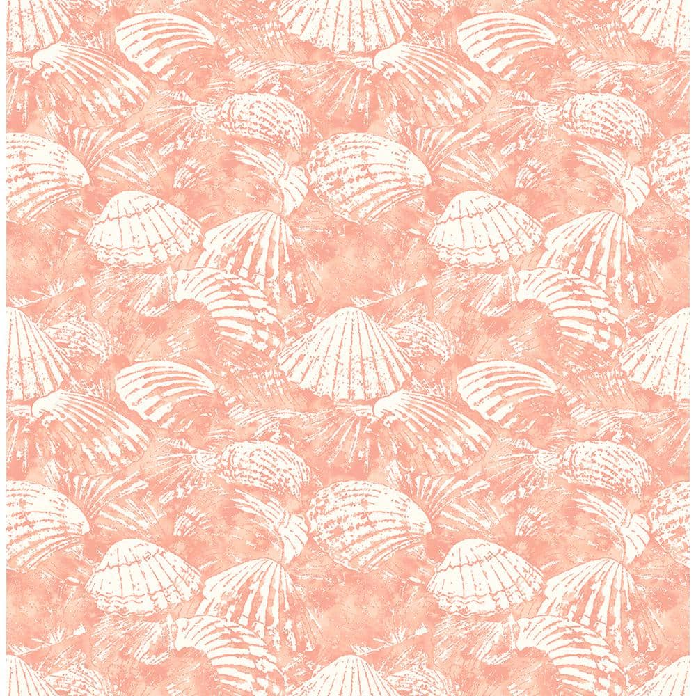 Brewster Surfside Coral Shells Coral Wallpaper Sample 2904-25689SAM ...