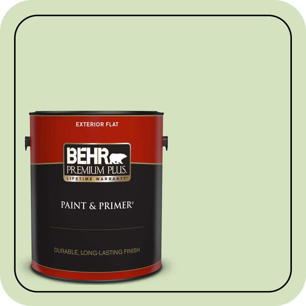 BEHR PREMIUM PLUS 1 gal. #P380-3 Irish Folklore Flat Exterior Paint ...
