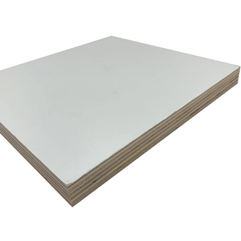 Swaner Hardwood 3/4 in. x 2 ft. x 4 ft. UV Prefinished White Project ...