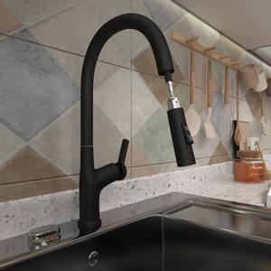 Staykiwi Single Handle Pull Down Sprayer Kitchen Faucet with Advanced ...