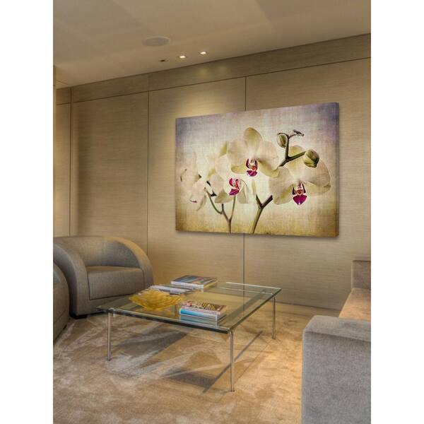 MARMONT HILL INC 30 in. H x 45 in. W "Pale Orchids Wide" by Honey Malek ...