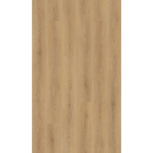 Home Decorators Collection Brookhill Oak 12 MIL x 7 in. W x 48 in. L ...