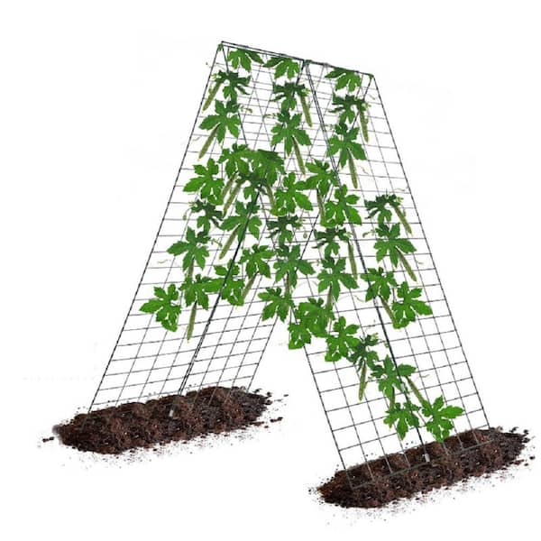 Ecostake 50 in. x 33 in. Grid Metal Vine Trellis Plant Support for Climbing Plants GT12243P4 ...