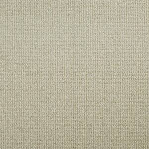 Natural Harmony 6 in. x 6 in. Loop Carpet Sample - Havasu - Color ...