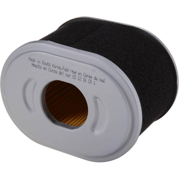 Luberfiner Air Filter LAF22025