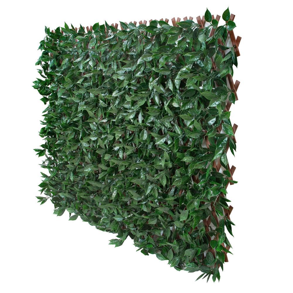 CREATIVE SURFACES Sakura 34 in. x 76 in. Expandable Trellis (1-Pack) CSHEDGE0405 - The Home Depot