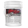 DRYWAY DryWay Plus 5-gal. DOT Approved Concrete Driveway Sealer Salt ...