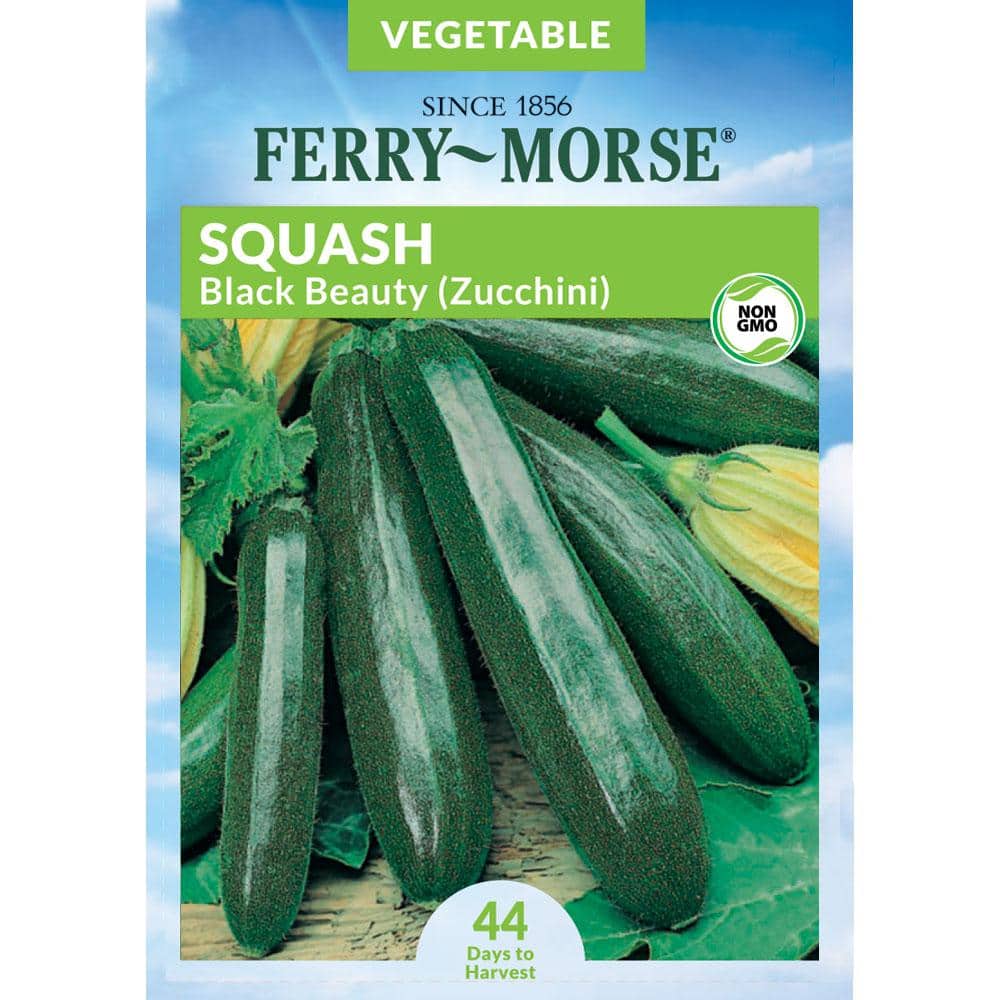 Ferry-Morse Squash Black Beauty Zucchini Fruit Seed 7686 - The Home Depot