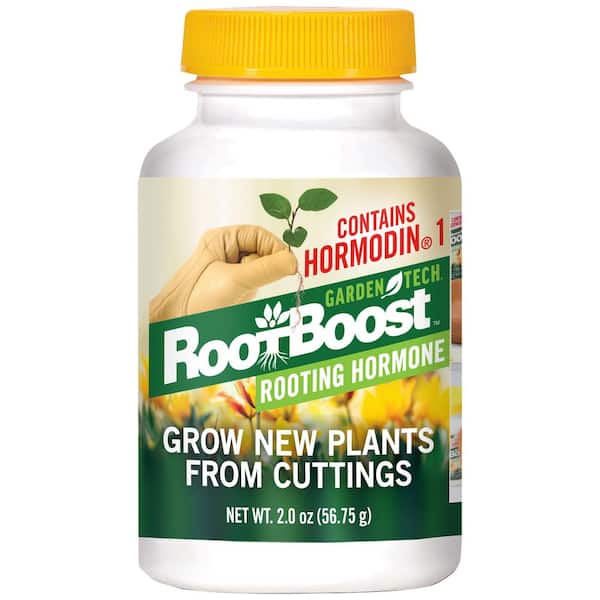 Rooting Powder Home Depot