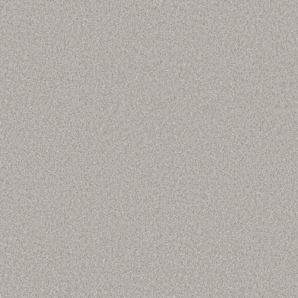 Lifeproof Rosemary III - Ginseng-Beige 12 ft. 66 oz. High Performance ...