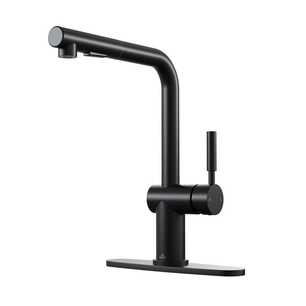 Flynama Single Handle Pull Out Sprayer Kitchen Faucet Deckplate ...