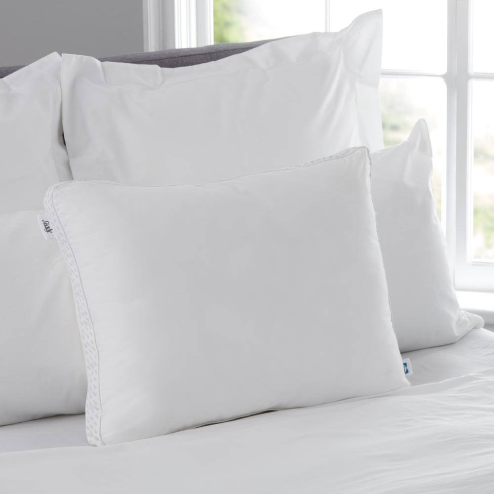 Sealy Down Alternative and Memory Foam Standard Pillow-F01-00595-ST2 ...