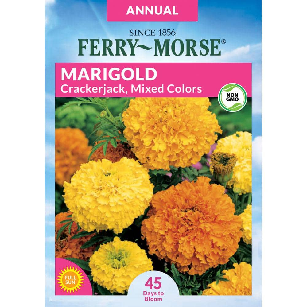 Ferry-Morse Marigold Crackerjack Mixed Colors Flower Seed 6001 - The ...
